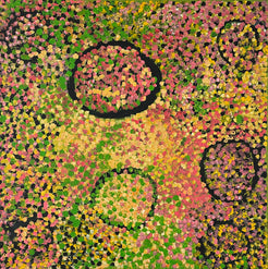 Caterpillar Dreaming | 101-779 – Top Didj