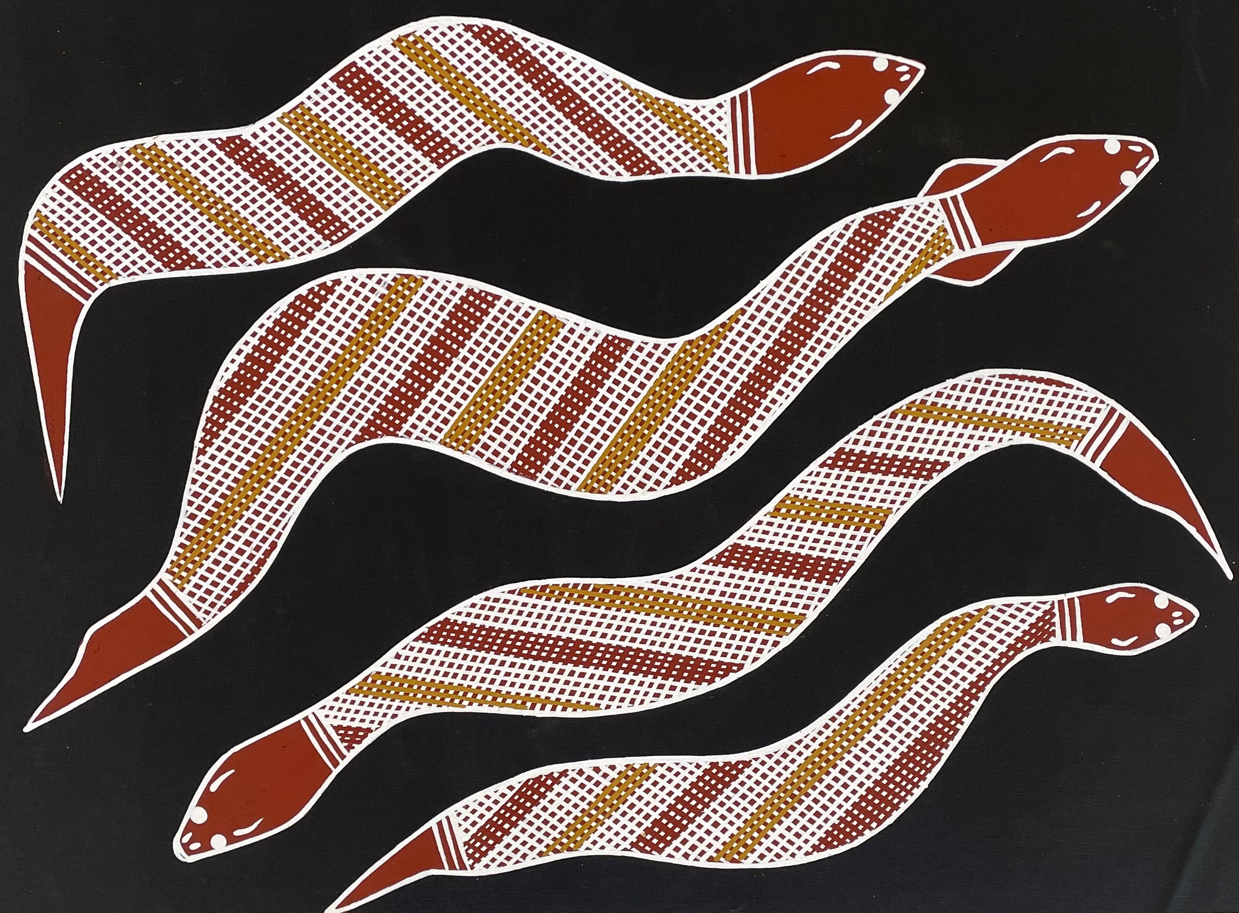 File Snakes | GA-5137 – Top Didj